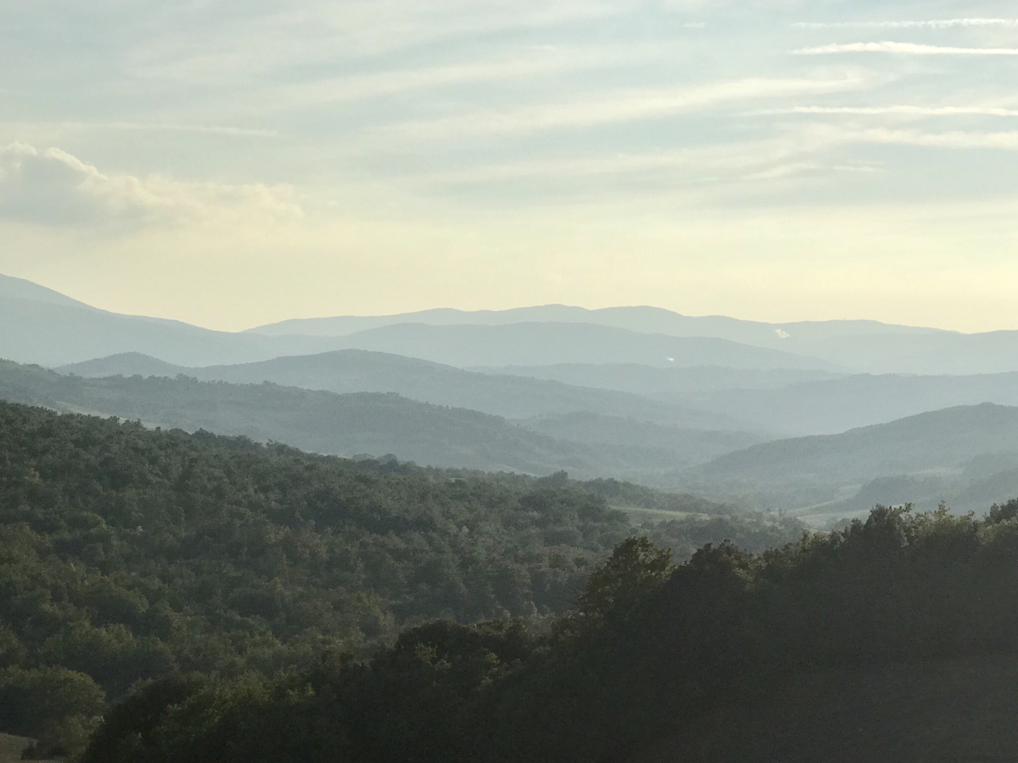 fare la scarpetta – rose in midair